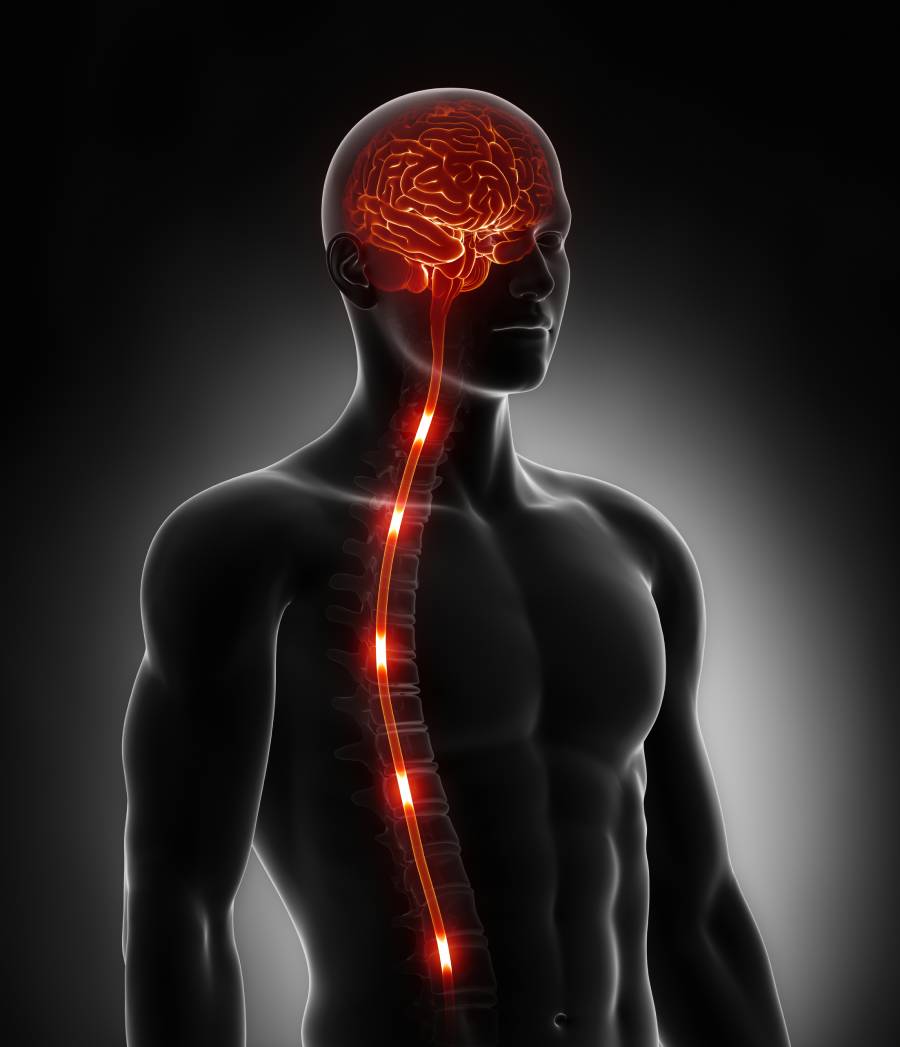 Anesthesia In The Spinal Cord Anesthesia Services For Indiana